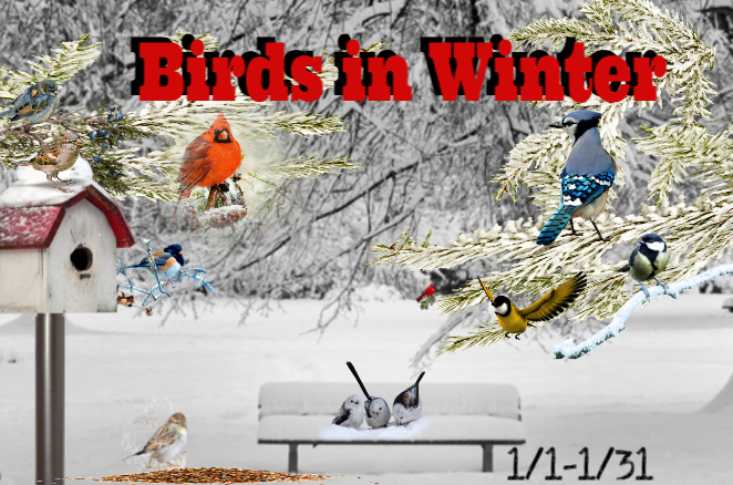 Birds in Winter - URSTYLE