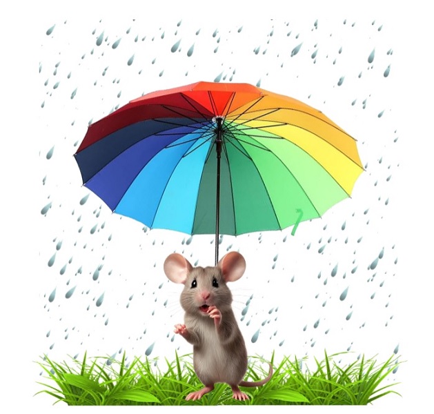 Singing in the Rain - URSTYLE