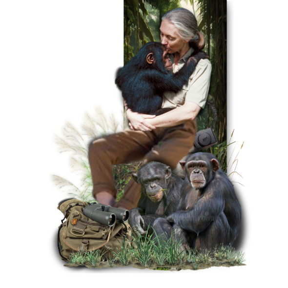 Dr. Jane Goodall - URSTYLE