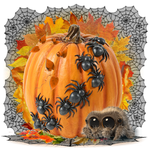 Spider Party - Fashion look - URSTYLE