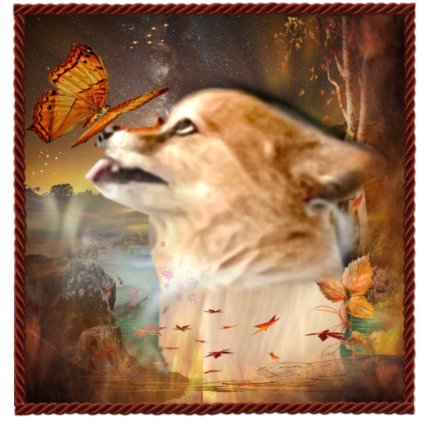 Fluttering Friend - Fashion look - URSTYLE