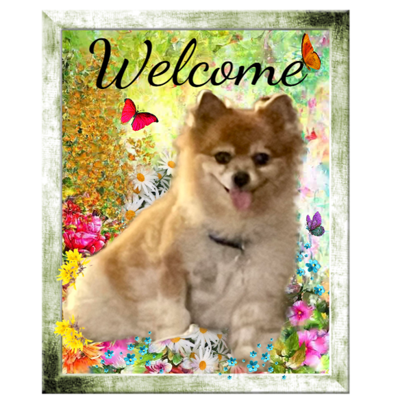 Chevy's Welcome - Fashion look - URSTYLE