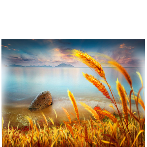 Fall Tide - Fashion look - URSTYLE