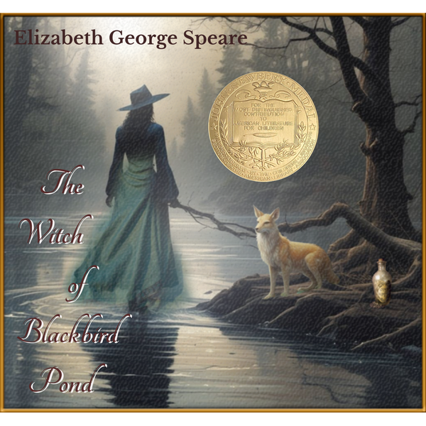 The Witch of Blackbird Pond by Elizabeth George Speare - Fashion look ...