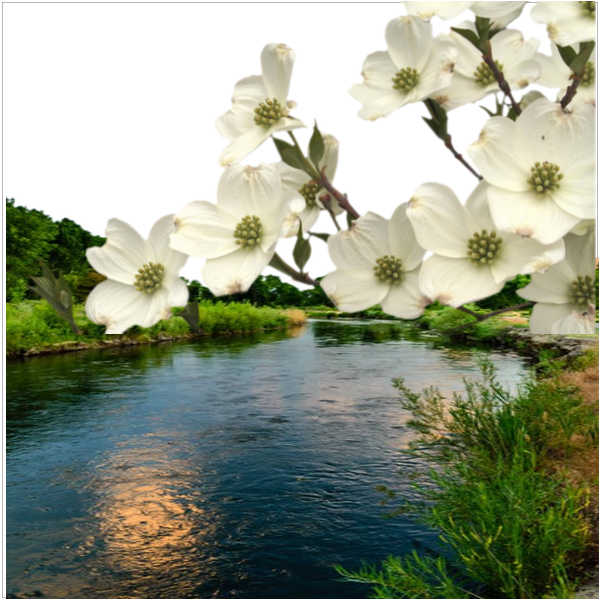 Who to hell is Udo? - Fashion look - URSTYLE