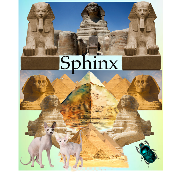 The Great Sphinx - Fashion look - URSTYLE