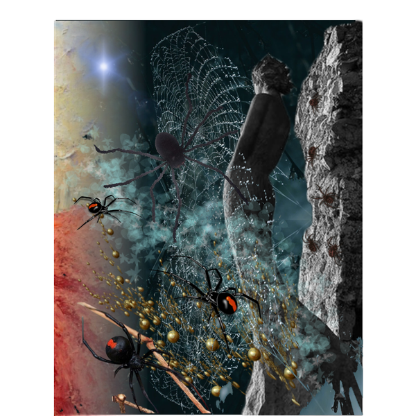 Spiders - Fashion look - URSTYLE